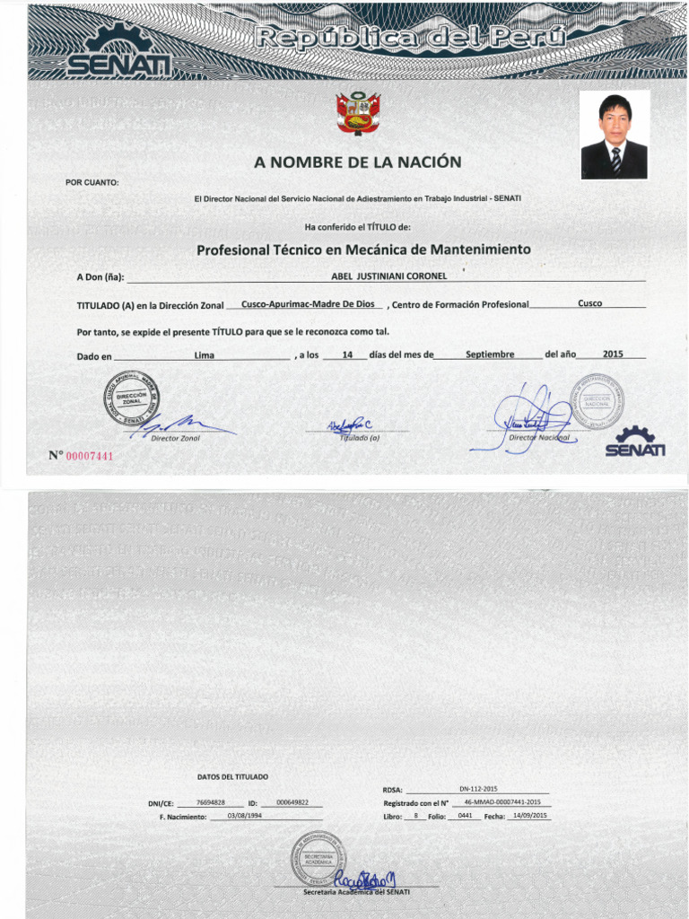 Curriculum Nuevo Abel 2019 | PDF