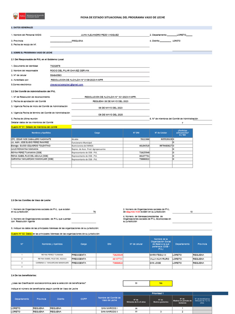 Ficha Diagnóstico PVL - 13.11 | PDF