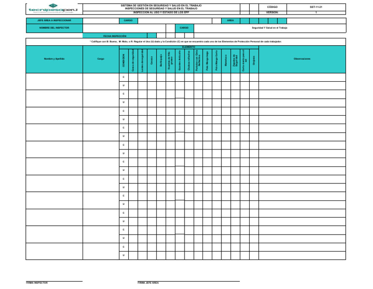 Acta de Inspeccion de Epps | PDF