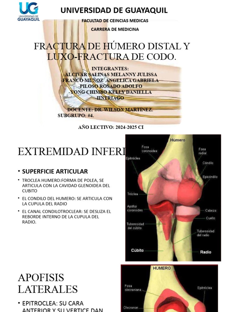 Fracturas de Húmero Distal y Codo | PDF | Codo | Extremidades (anatomía)