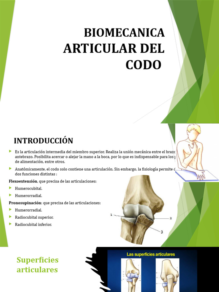 Biomecanica Del Miembro Superior Biomecanica Del Codo Biomecánica De