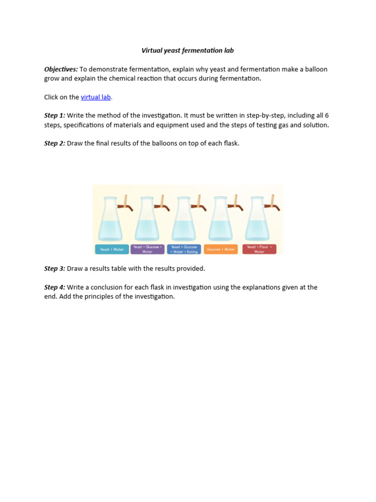 Virtual Yeast Fermentation Lab | PDF