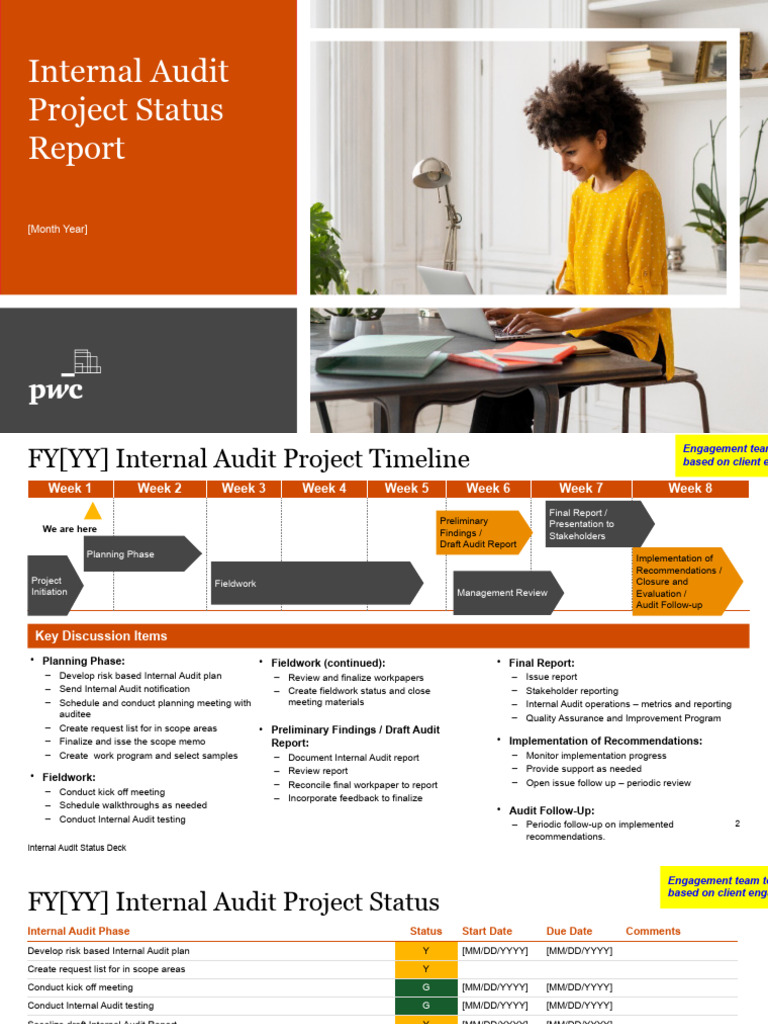 Gold Standard - Internal Audit Project Status Report Template | PDF ...