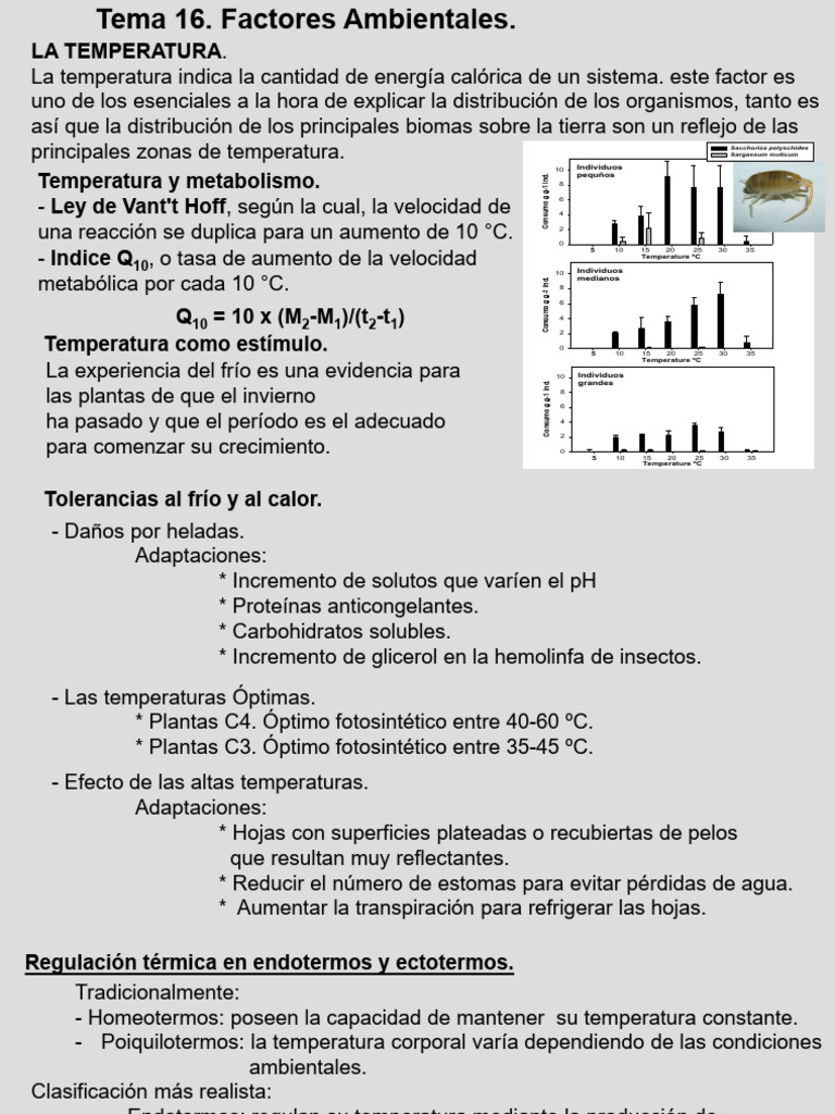 Tema 16 | PDF | Termorregulación | Biología