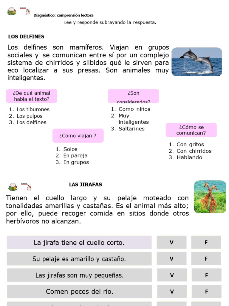 Comprension Lectora y Escritura (Diagnostico) | PDF | Artes del ...