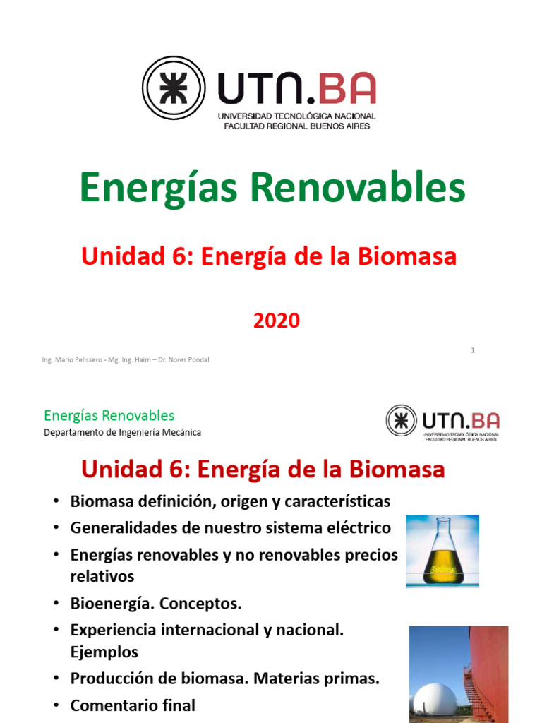 Biomasa | PDF | Energía renovable | Bioenergía