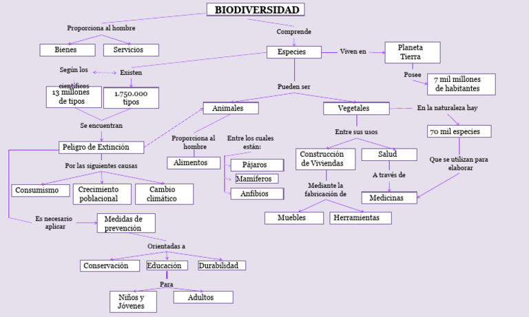 Mapa Conceptual de La Biodiversidad 5 | PDF | Biodiversidad | Entorno natural