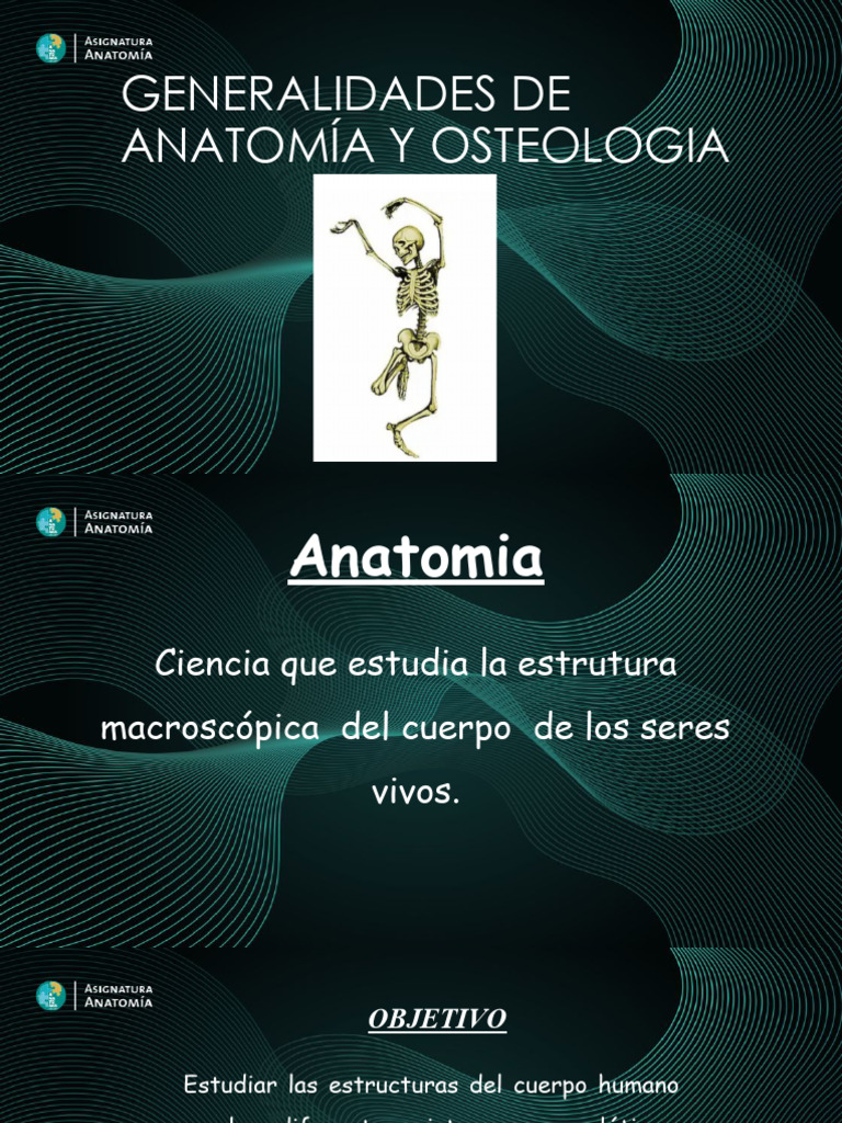 Anatomía y Osteología: Estructuras y Funciones | PDF | Anatomía | Esqueleto