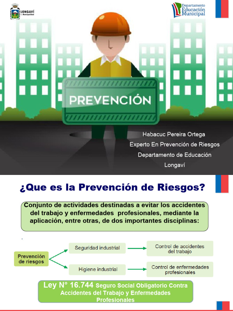 Prevencion de Riesgos | PDF