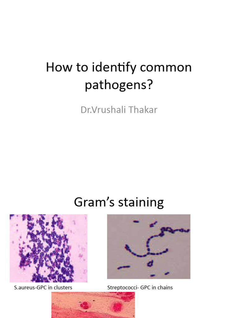 Microbiology Slides | PDF