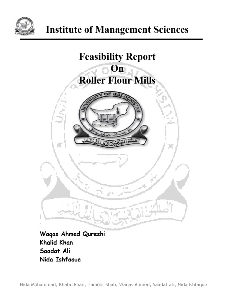 Flour Mill Project | PDF | Net Present Value | Internal Rate Of Return