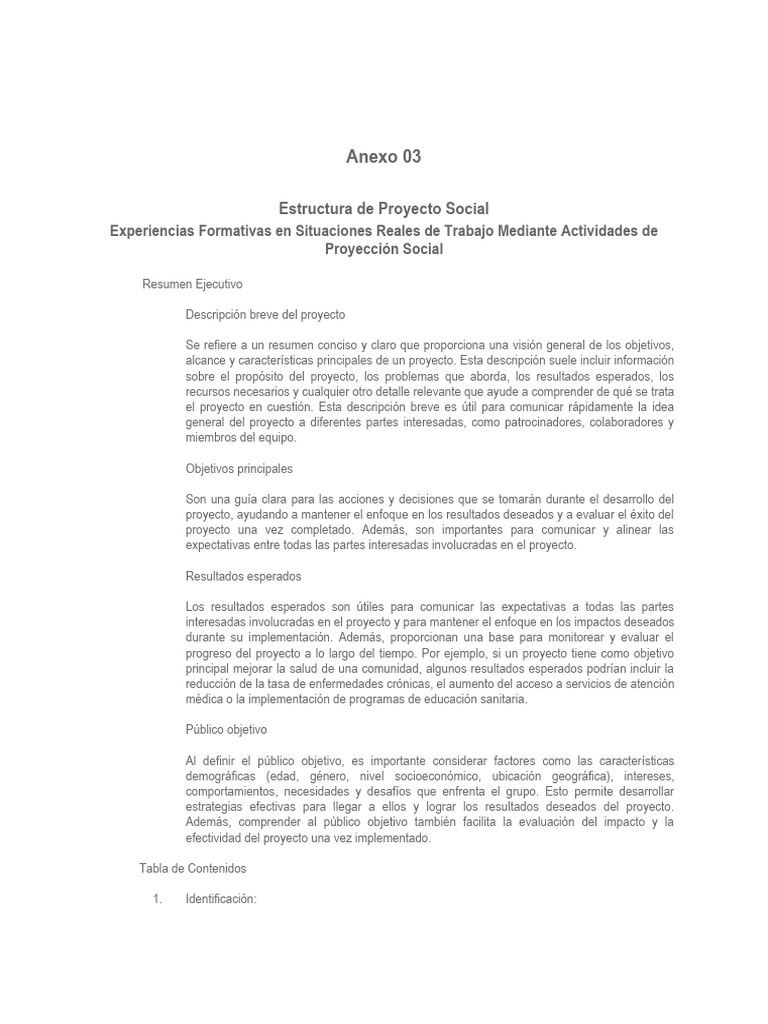 Anexo 03 Estructura De Proyecto Social Pdf Evaluación Planificación 6107