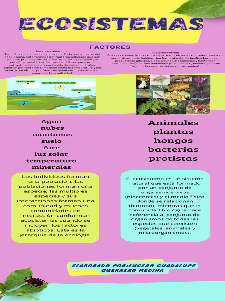 Infografia Ecosistemas Textura de Papel Melon Amarillo | PDF | Ecosistema | Suelo