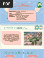 Los 7 Distritos Del Callao | PDF | Perú | Lima