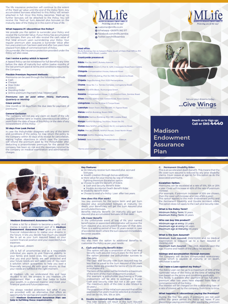 Madison Endowment Assurance Plan Brochure | PDF | Life Insurance ...
