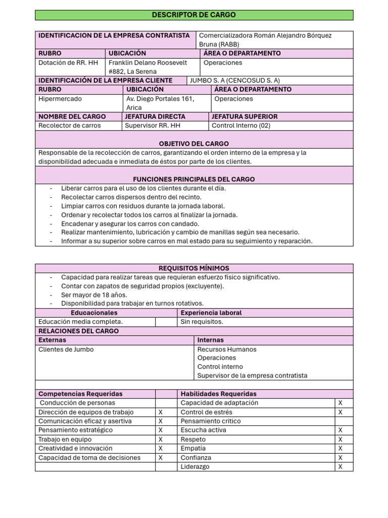 Descriptor de Cargo | PDF | Business