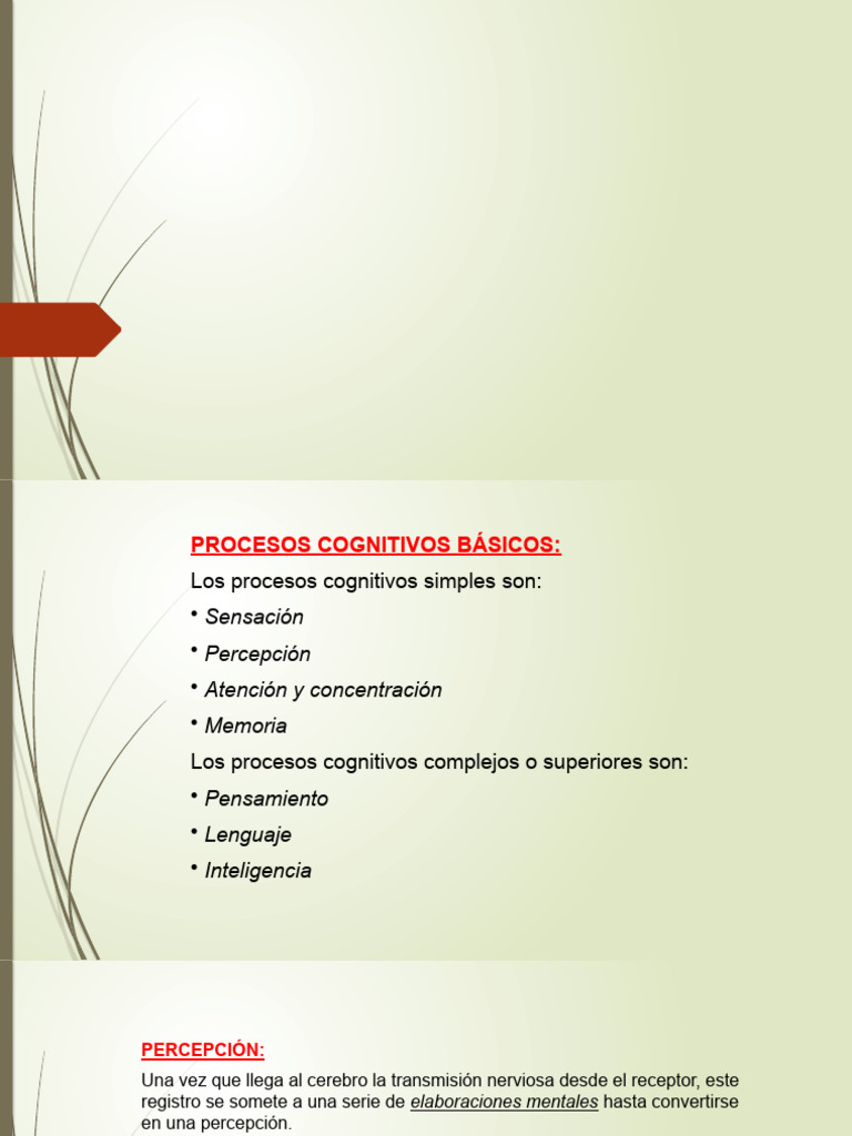 Procesos Mentales-1 | PDF | Memoria | Percepción