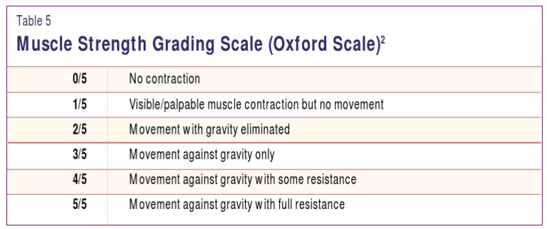 Oxford Strength Scale | PDF