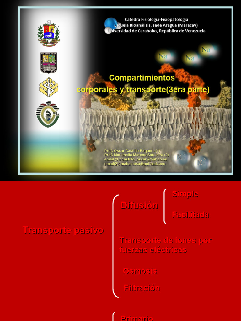 Compartimientos Corporales 3era Y última Parte Pdf