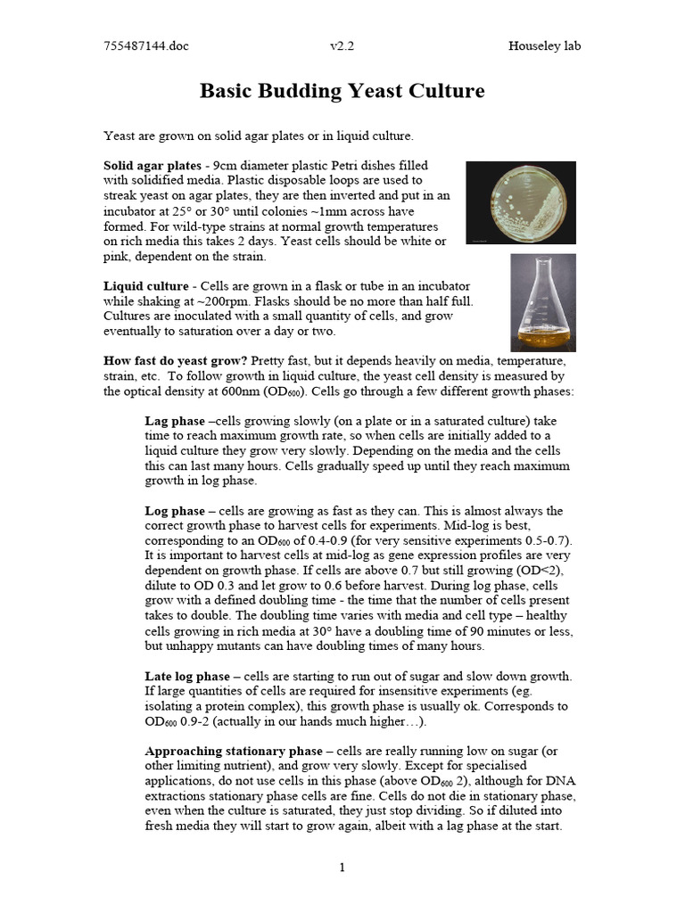 Yeast Culture Techniques and Growth Phases | PDF | Growth Medium ...