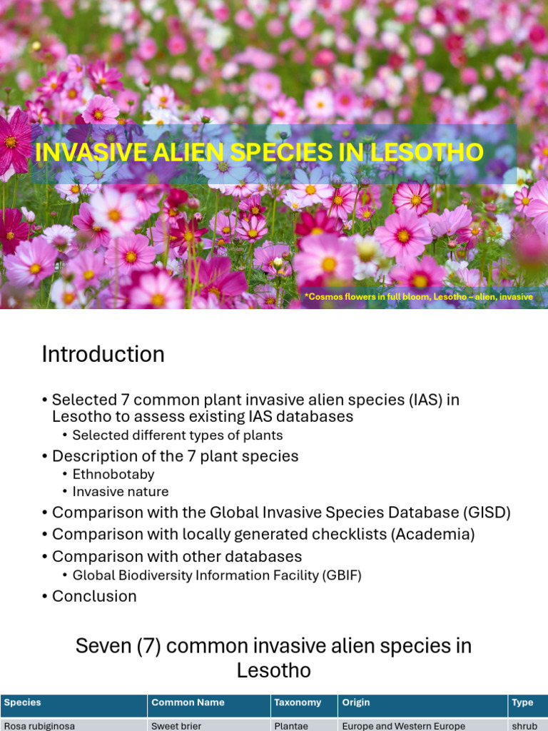 Invasive Alien Species in Lesotho | PDF | Data | Invasive Species