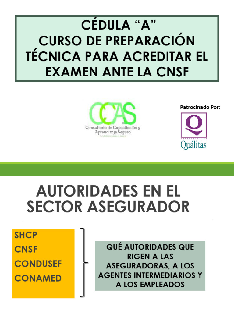 Modulo I Marco Legal y Aspectos Tecnicos y Operativos de Cedula A 2020 | PDF | Póliza de seguros ...