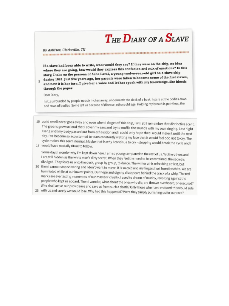 The Diary of A Slave | PDF