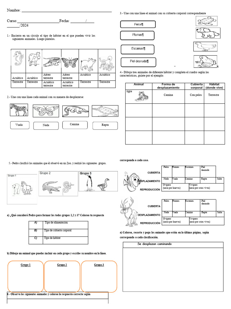 Actividades de Clasificación de Animales | PDF | Zoología