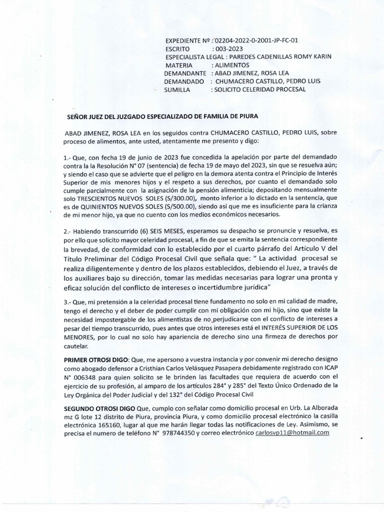 Celeridad Procesal | PDF