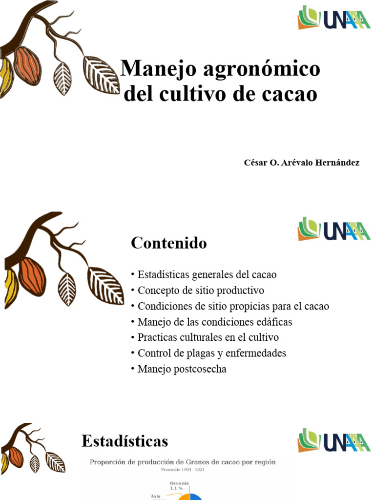 Manejo Agronómico Del Cultivo de Cacao | PDF | Suelo | Agricultura