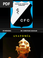 Anatomía detallada del canal anal | PDF | Intestino grueso | Membrana ...