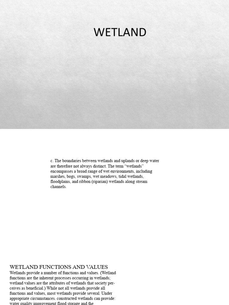 Wetland Wastewater | PDF | Wetland | Ecology