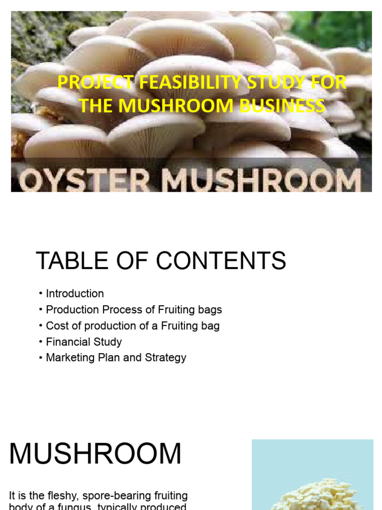 Project Feasibility Study For Oyster Mushroom Business | PDF