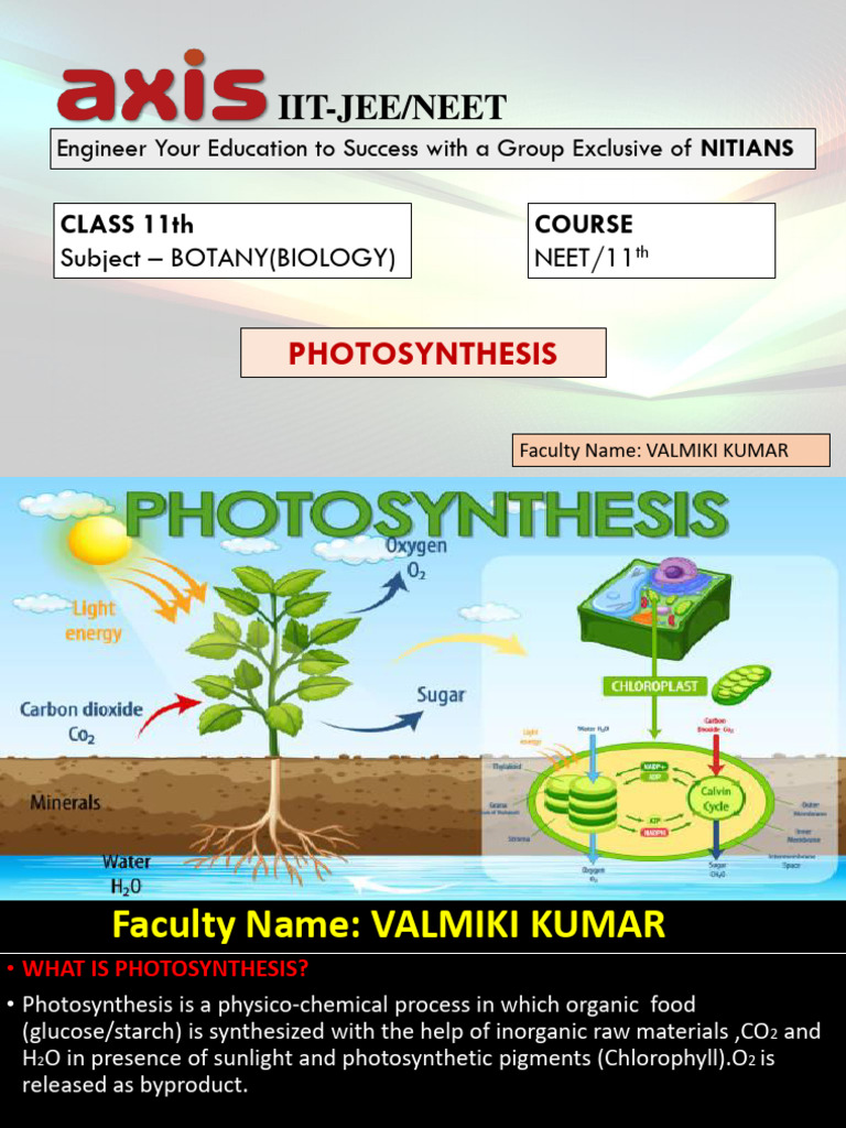 Photosynthesis @ | PDF | Photosynthesis | Biology