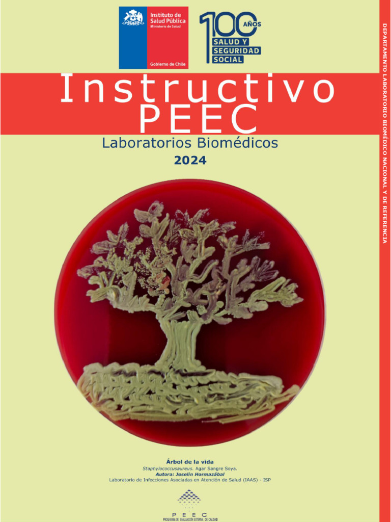 Instructivo Peec 2024 v15 | PDF | Laboratorios | Evaluación