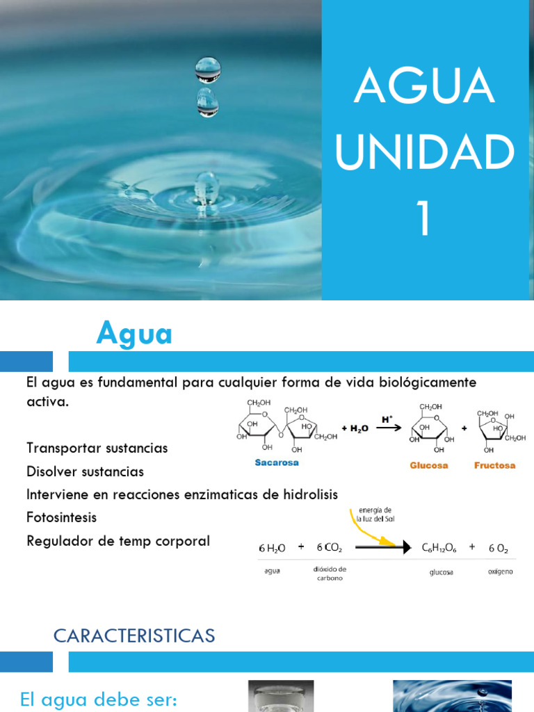Agua | PDF | Propiedades del agua | Agua