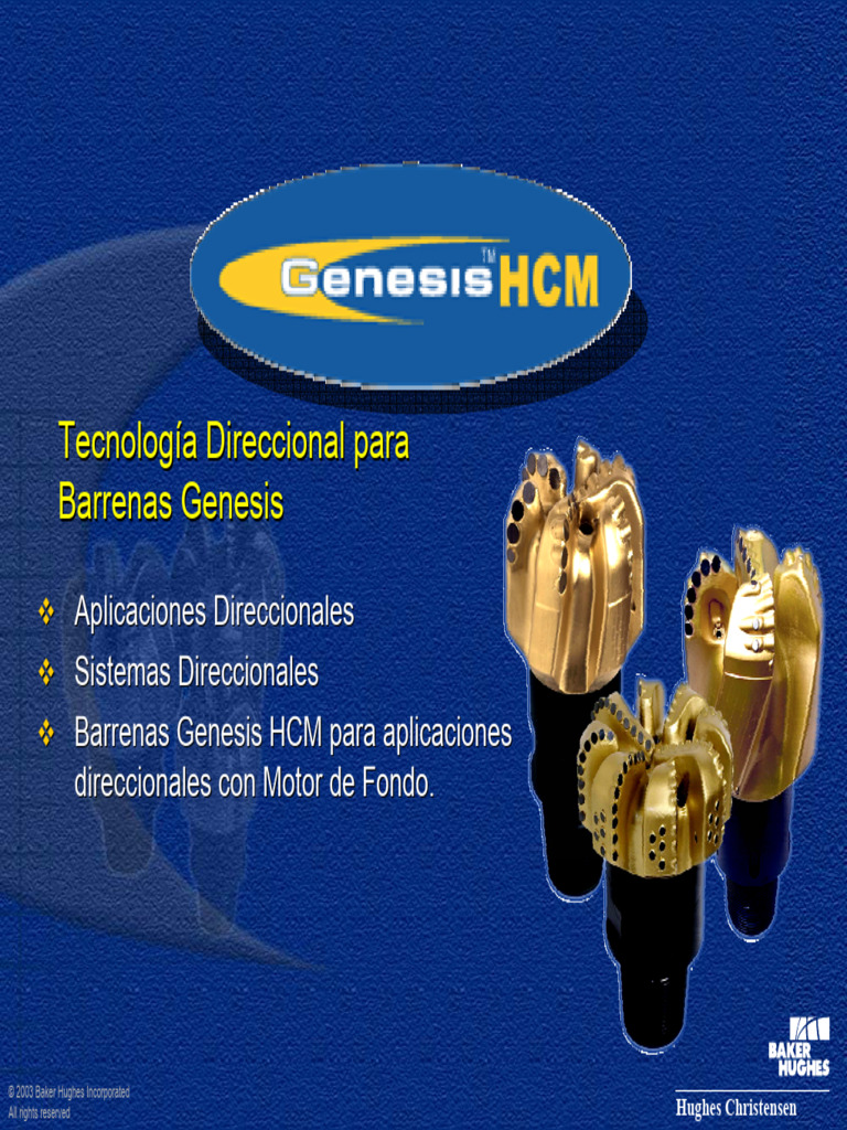 HCM Presentation | PDF