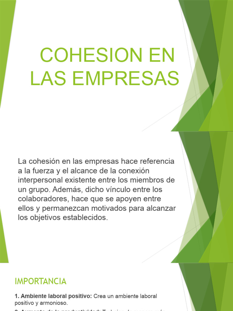 Cohesion en Las Empresas | PDF | Cultura organizacional | Cohesión grupal
