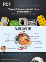 PROTOCOLO HINTS | PDF | Neuroimagen | Vértigo
