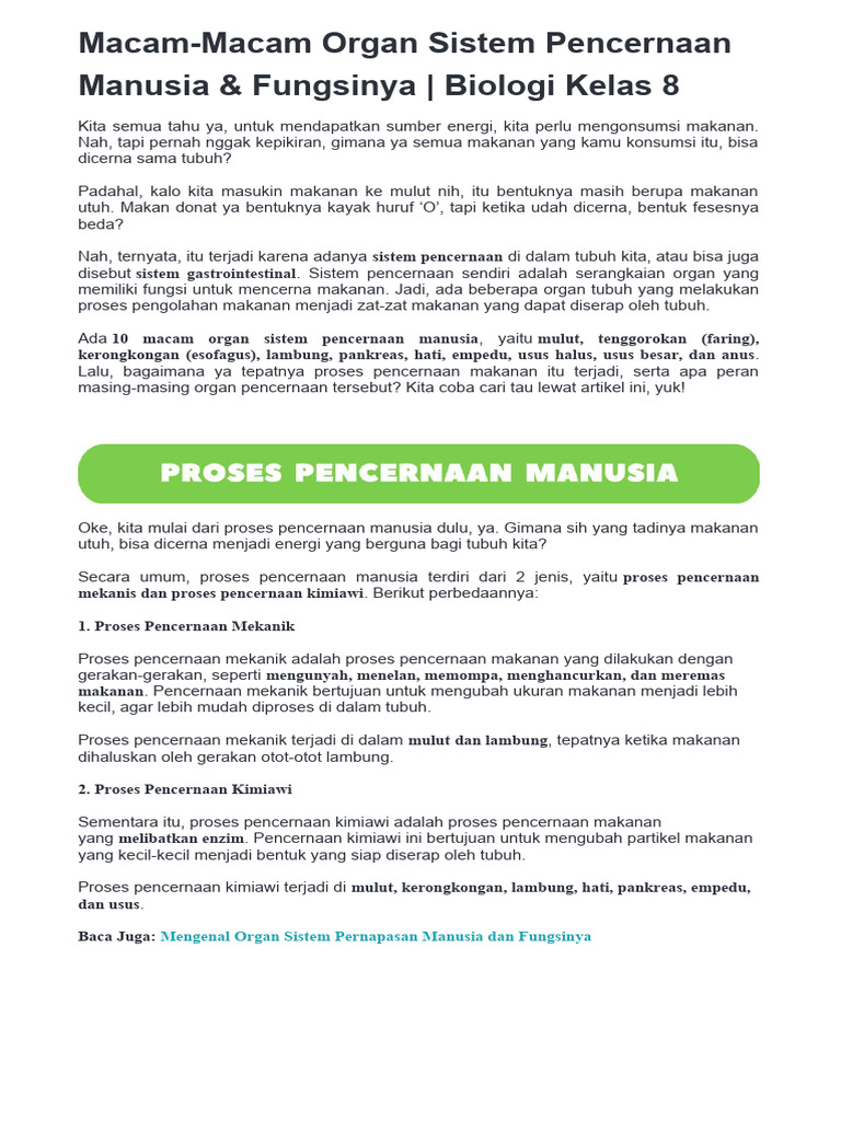 Sistem Pencernaan | PDF | Pengembangan Diri | Kesehatan Holistik
