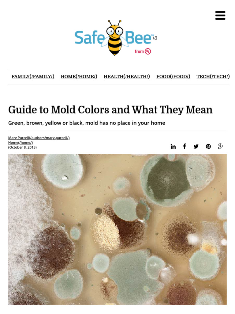 Guide To Mold Colors and What They Mean | PDF | Mold | Allergy