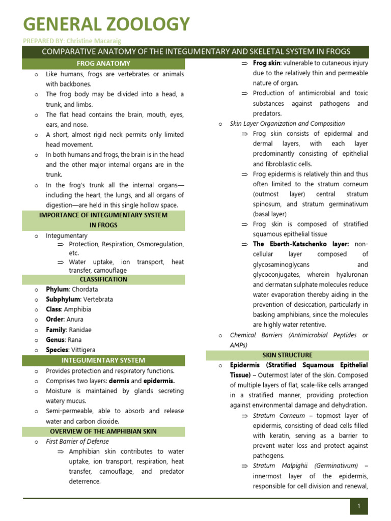 Frog Integumentary System Anatomy | PDF | Skin | Integumentary System