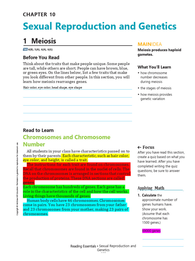 Reading Essentials Chap 10 Meiosis | PDF | Meiosis | Sexual Reproduction