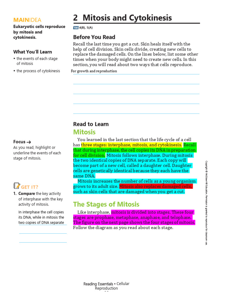 READING ESSENTIAL Chap 9 Cell Reproduction Mitosis and Cytokinesis ...