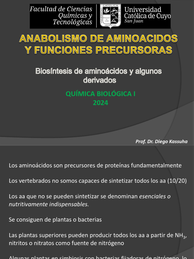 Clase 12 Anabolismo y Funciones Precursoras de Aa | Descargar gratis ...