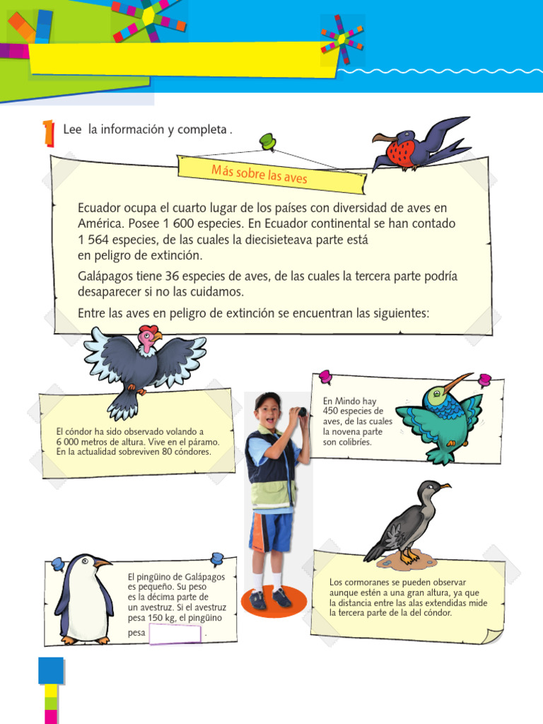 Diversidad y Extinción de Aves en Ecuador | PDF | Aves | Organismos