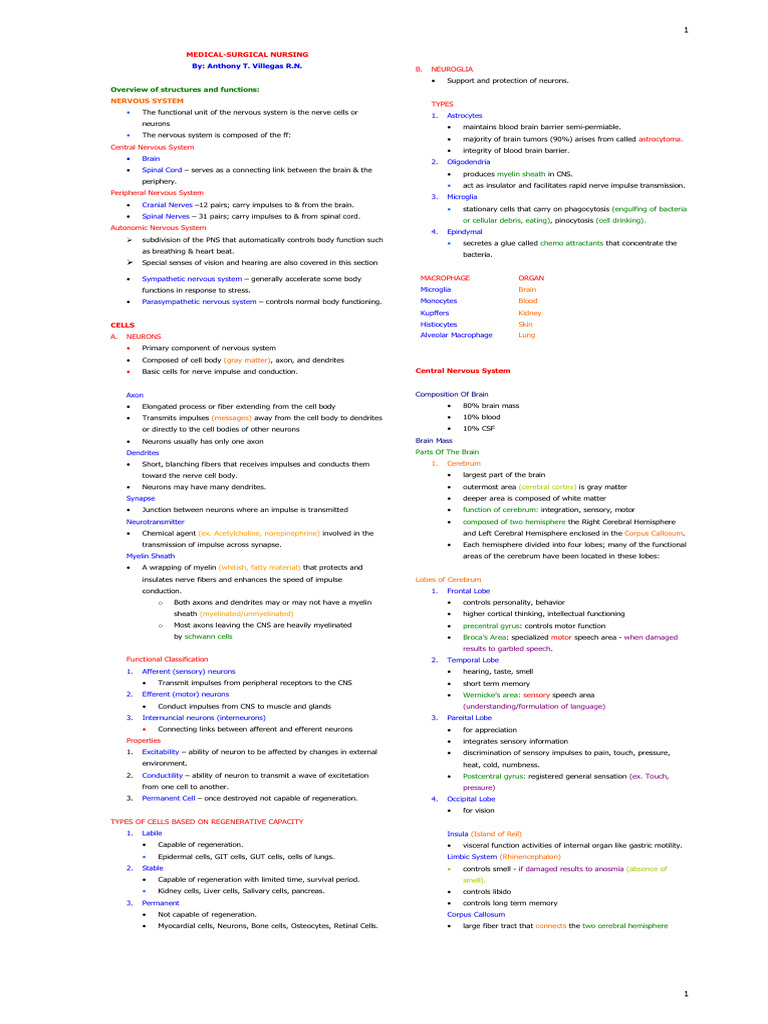Med Surg Notes | PDF | Central Nervous System | Nervous System