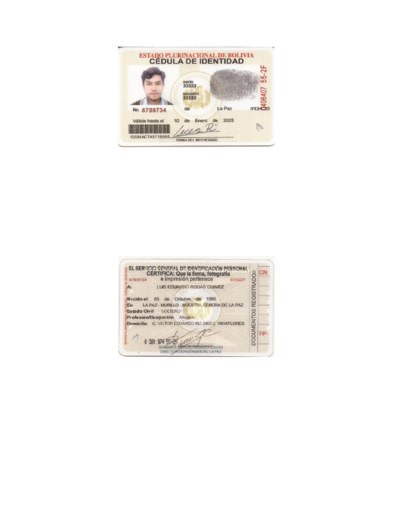 C.I Luis Rodas | PDF