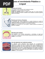 Aparatología Simoes Network en Ortopedia | PDF | Ramas de Odontología ...