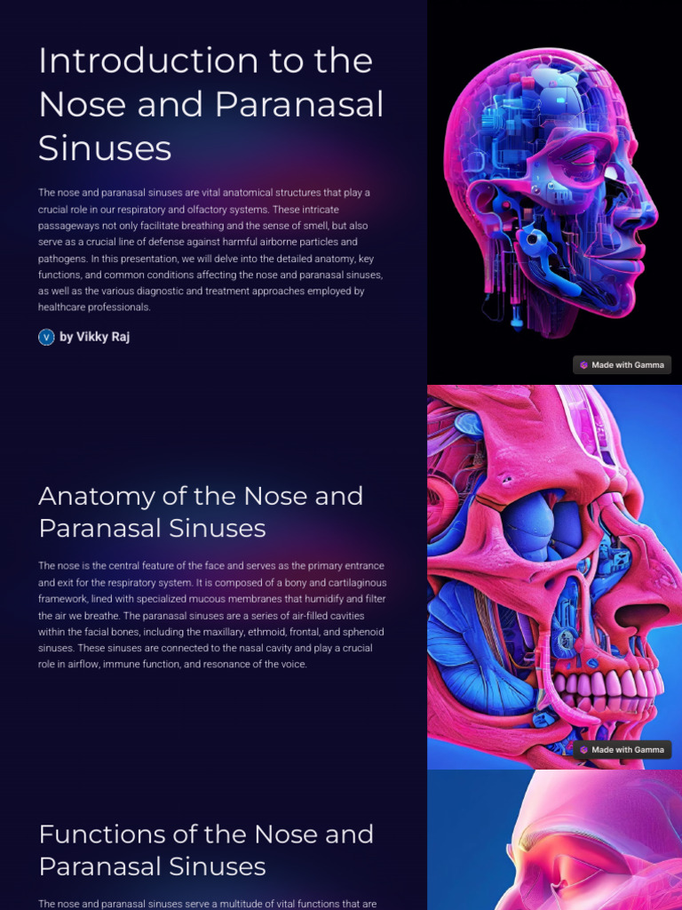 Introduction To The Nose and Paranasal Sinuses | PDF | Human Nose ...